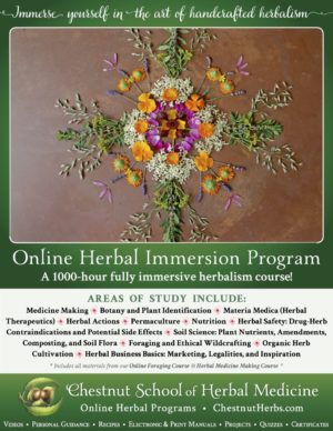 Risks of Using AI in Herbalism - FHS Lifestyle Magazine